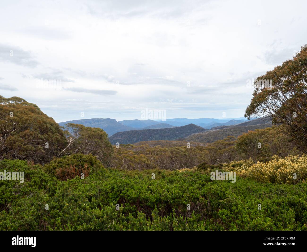 Australian alps walking track victoria hi-res stock photography and ...