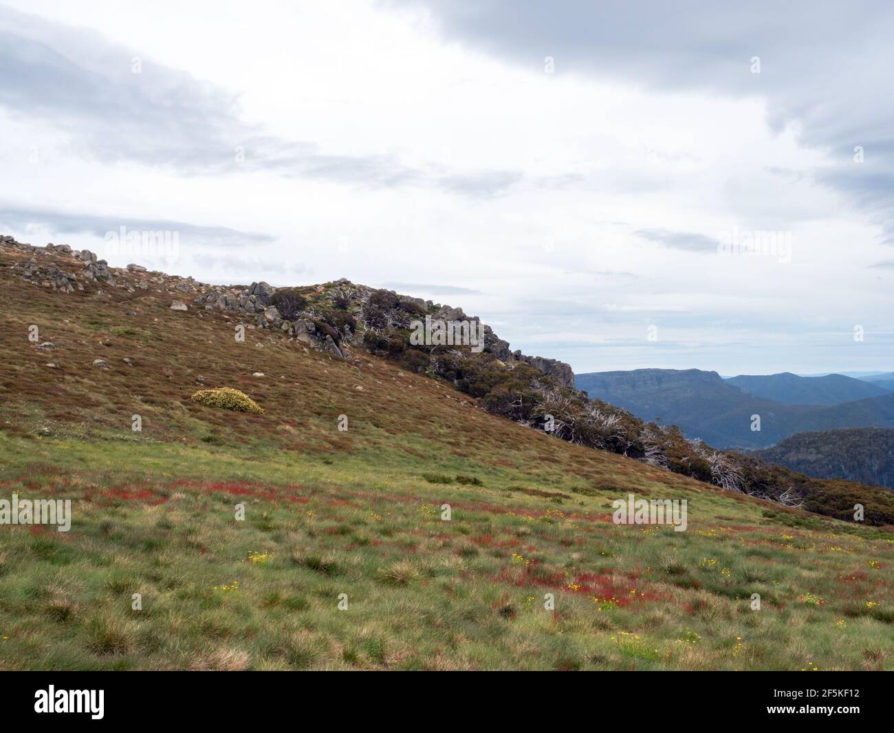 The View from Mount Stirling Loop Walking Track, on the Great Dividing ...