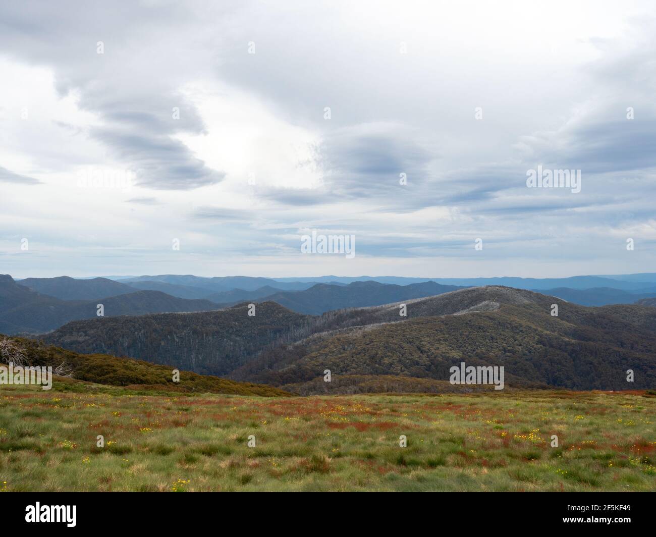 The View from Mount Stirling Loop Walking Track, on the Great Dividing ...