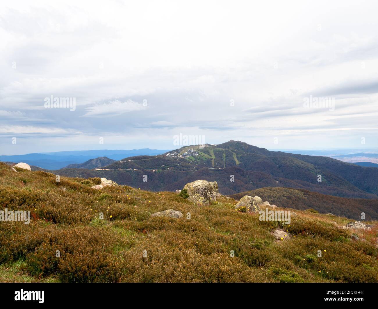Australian alps walking track victoria hi-res stock photography and ...