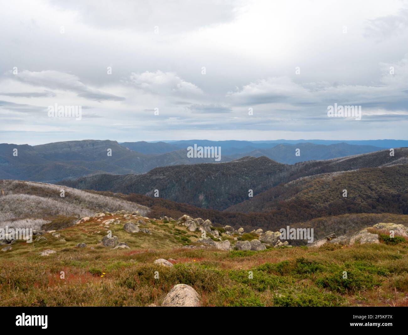 The View from Mount Stirling Loop Walking Track, on the Great Dividing ...