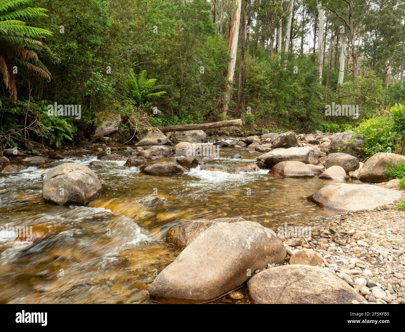 The Delatite River, Mirimbah Park, Victoria, Australia Stock Photo - Alamy
