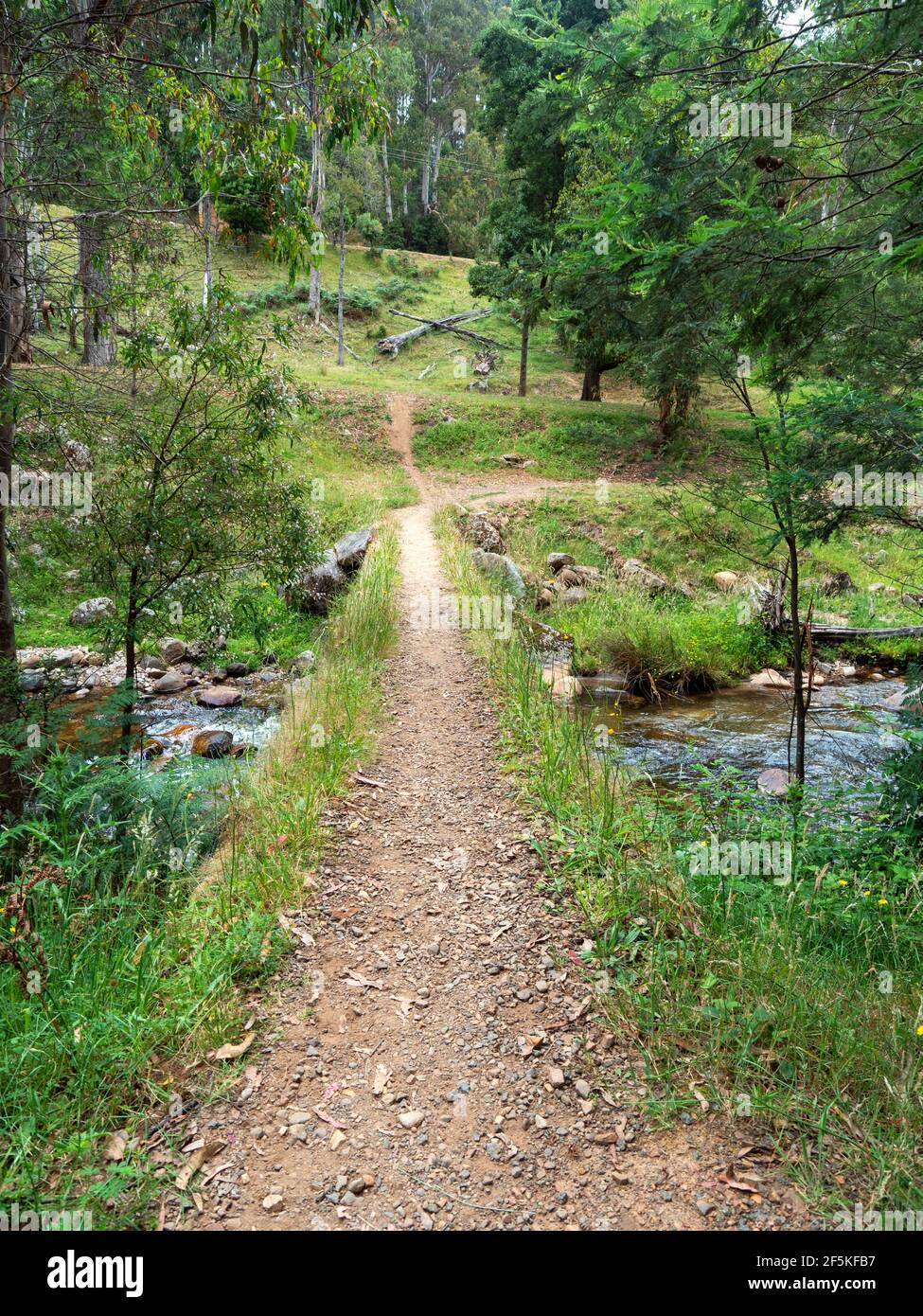 Log bridge spanning the Delatite River, Mirimbah Park, Victoria ...