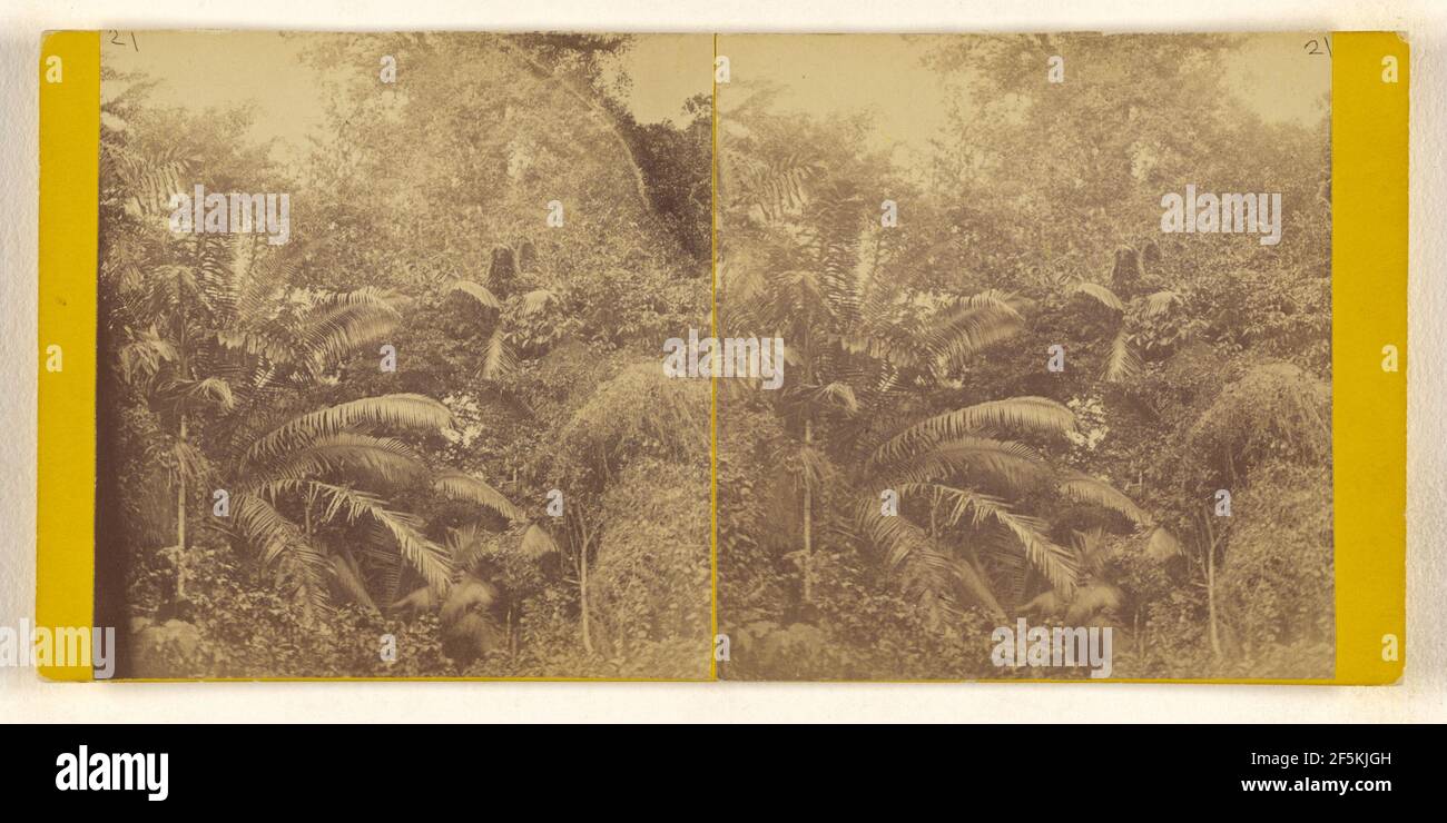 Darien expedition hi-res stock photography and images - Alamy