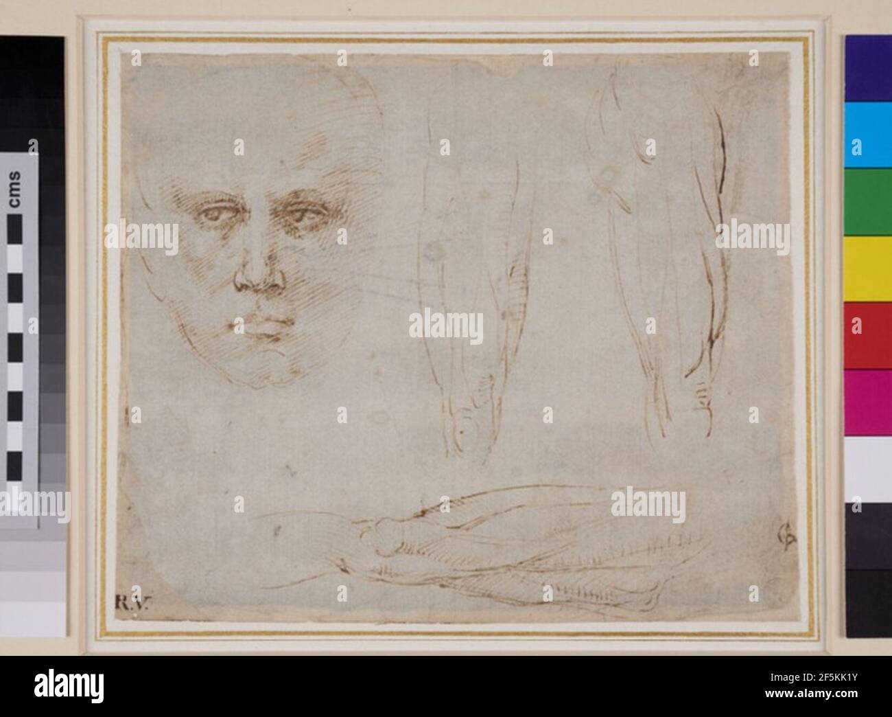 Raphael - after - Studies of a Man's Head and Legs, WA1846.264 Stock ...