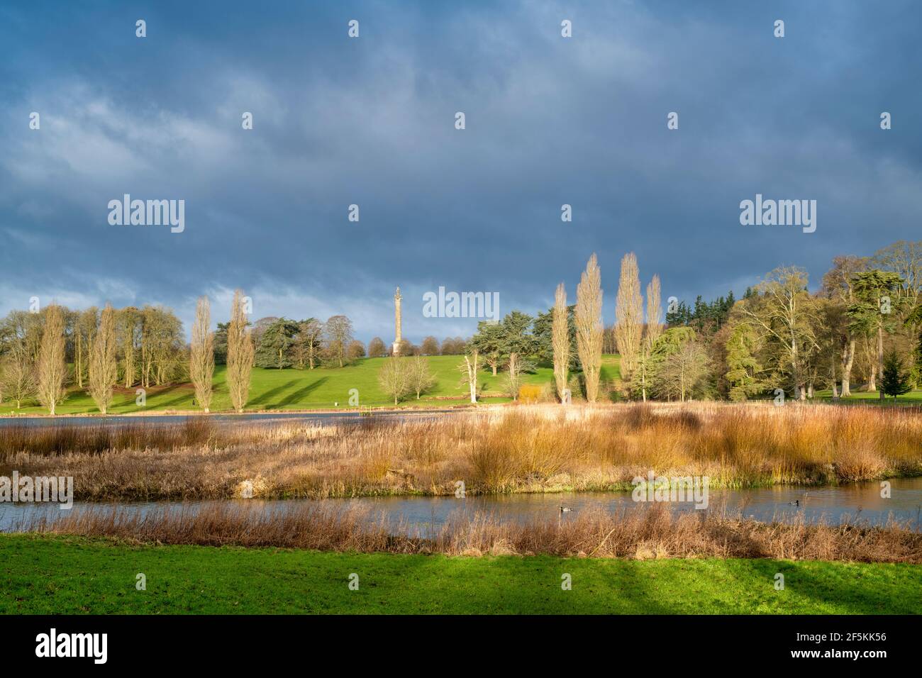 Blenheim palace park in the early morning spring sunlight just after ...