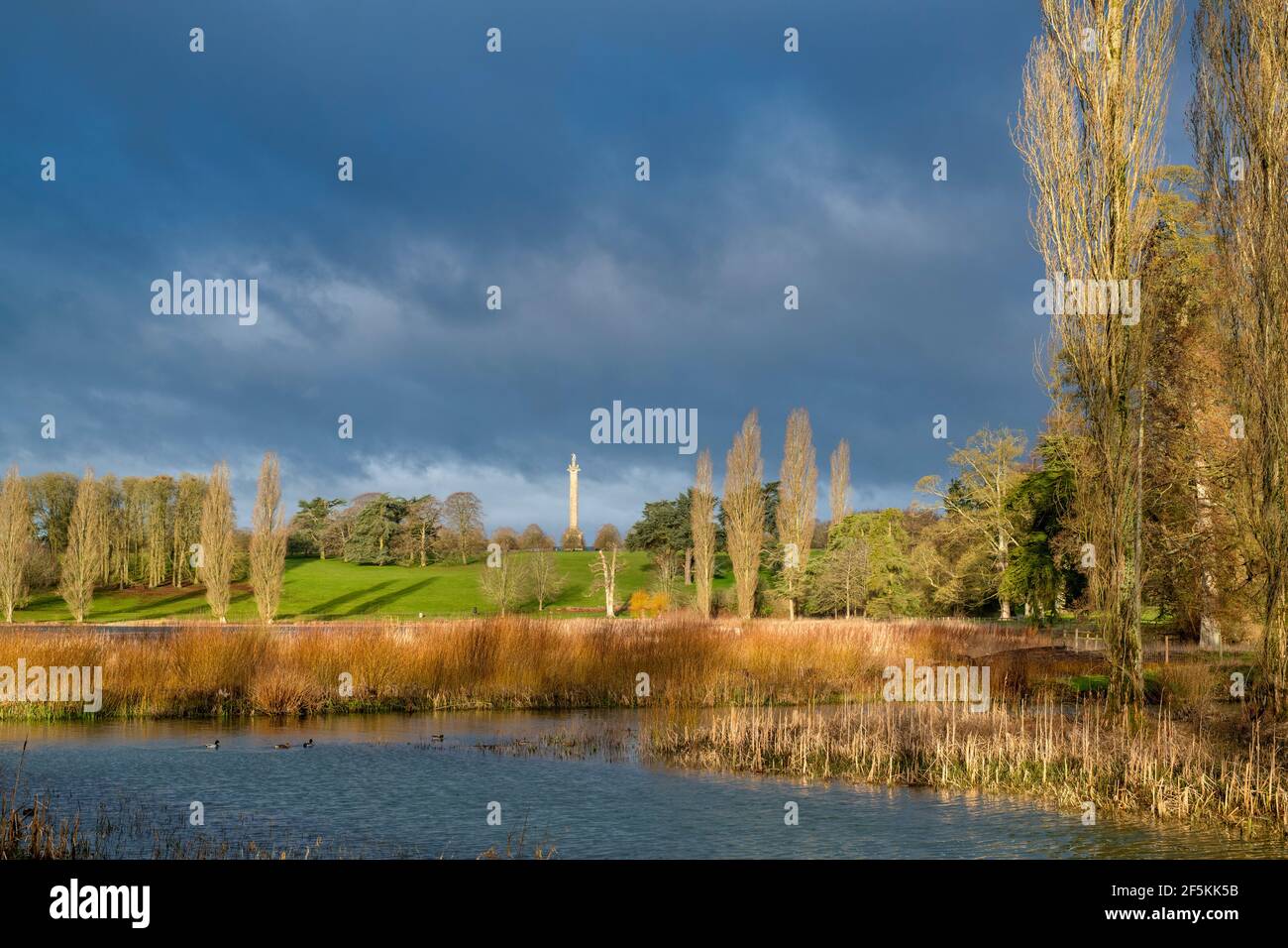 Blenheim palace park in the early morning spring sunlight just after ...