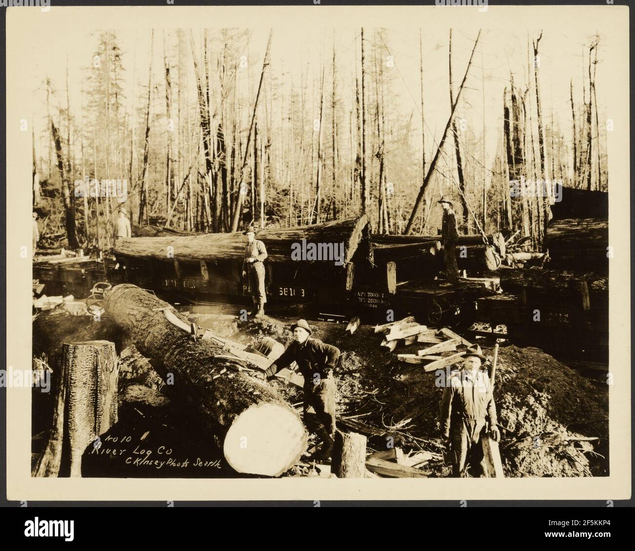 Loggers. Darius Kinsey (American, 1869 - 1945 Stock Photo - Alamy