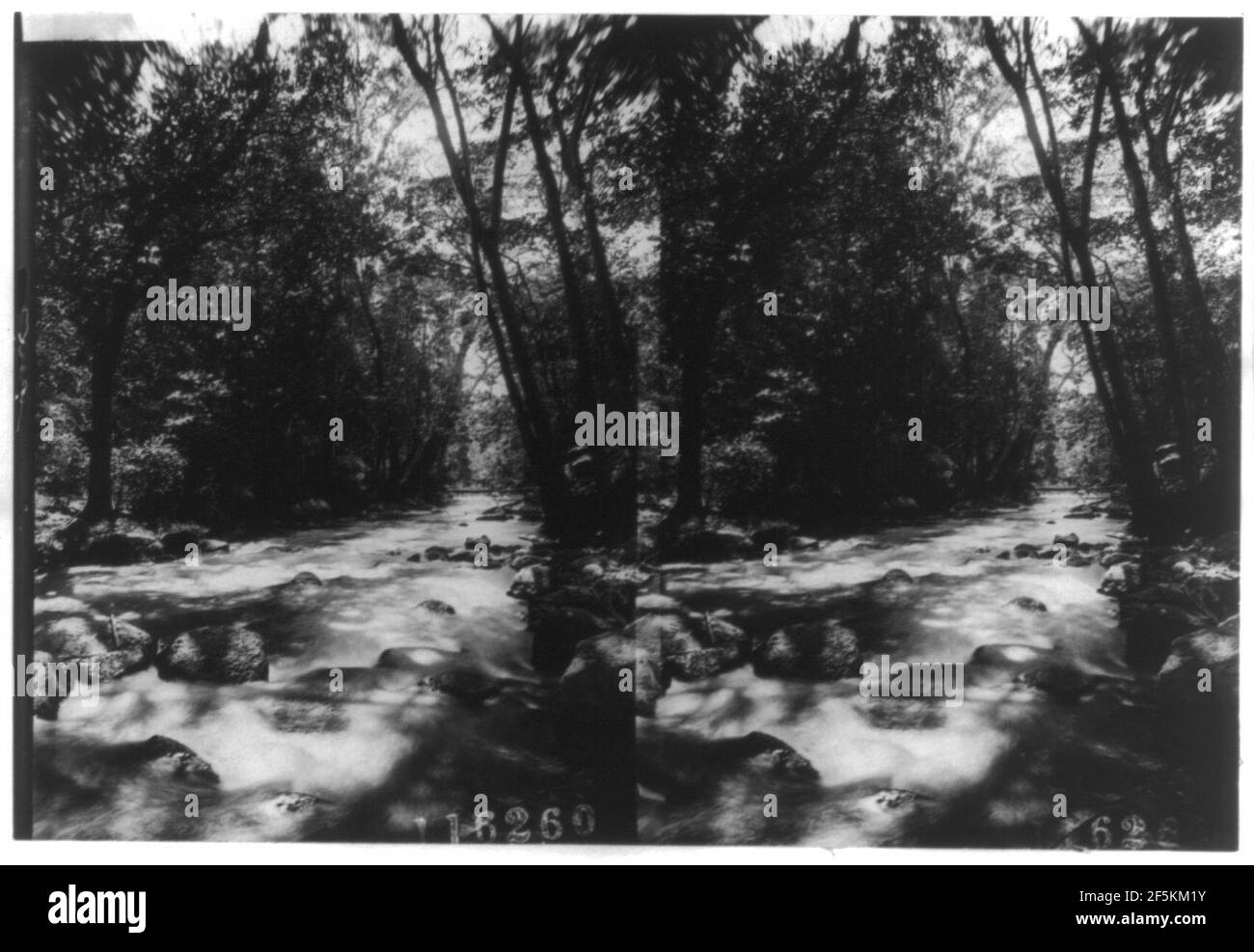 Stream with rapids Cut Out Stock Images & Pictures - Alamy