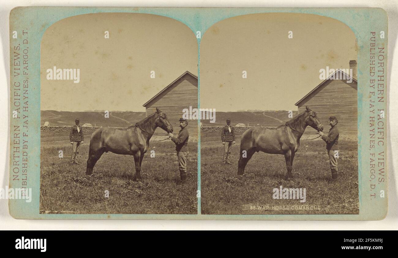 War Horse Comanche.Capt. Myles Keoghs' horse "Comanche" who was wounded ...