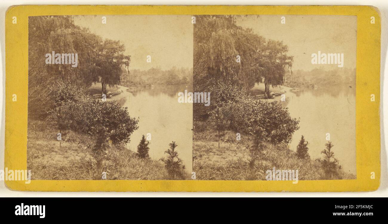 Central Park. The Lake.. Edward and Henry T. Anthony & Co. (American ...