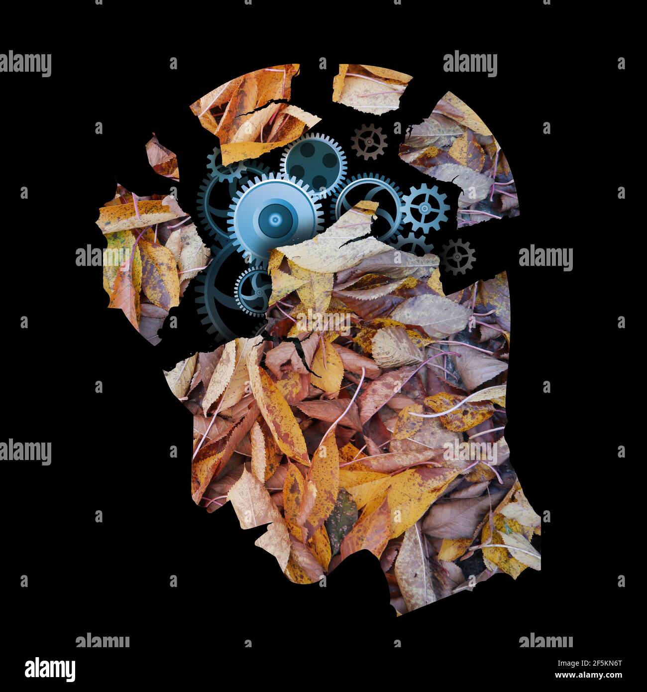 Stylized cog hi-res stock photography and images - Alamy