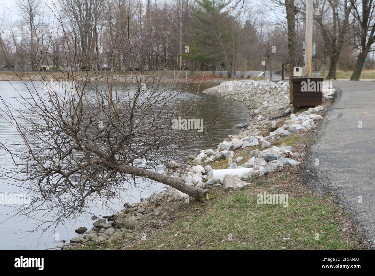 Small tree leaning hi-res stock photography and images - Alamy