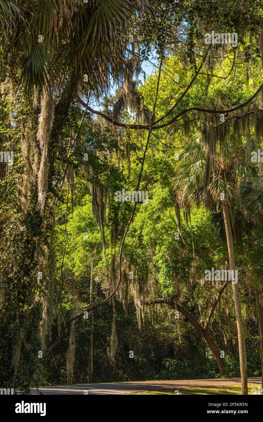Fort caroline shores hi-res stock photography and images - Alamy