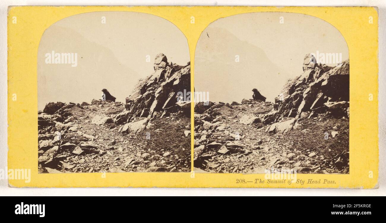 Sty head hi-res stock photography and images - Alamy