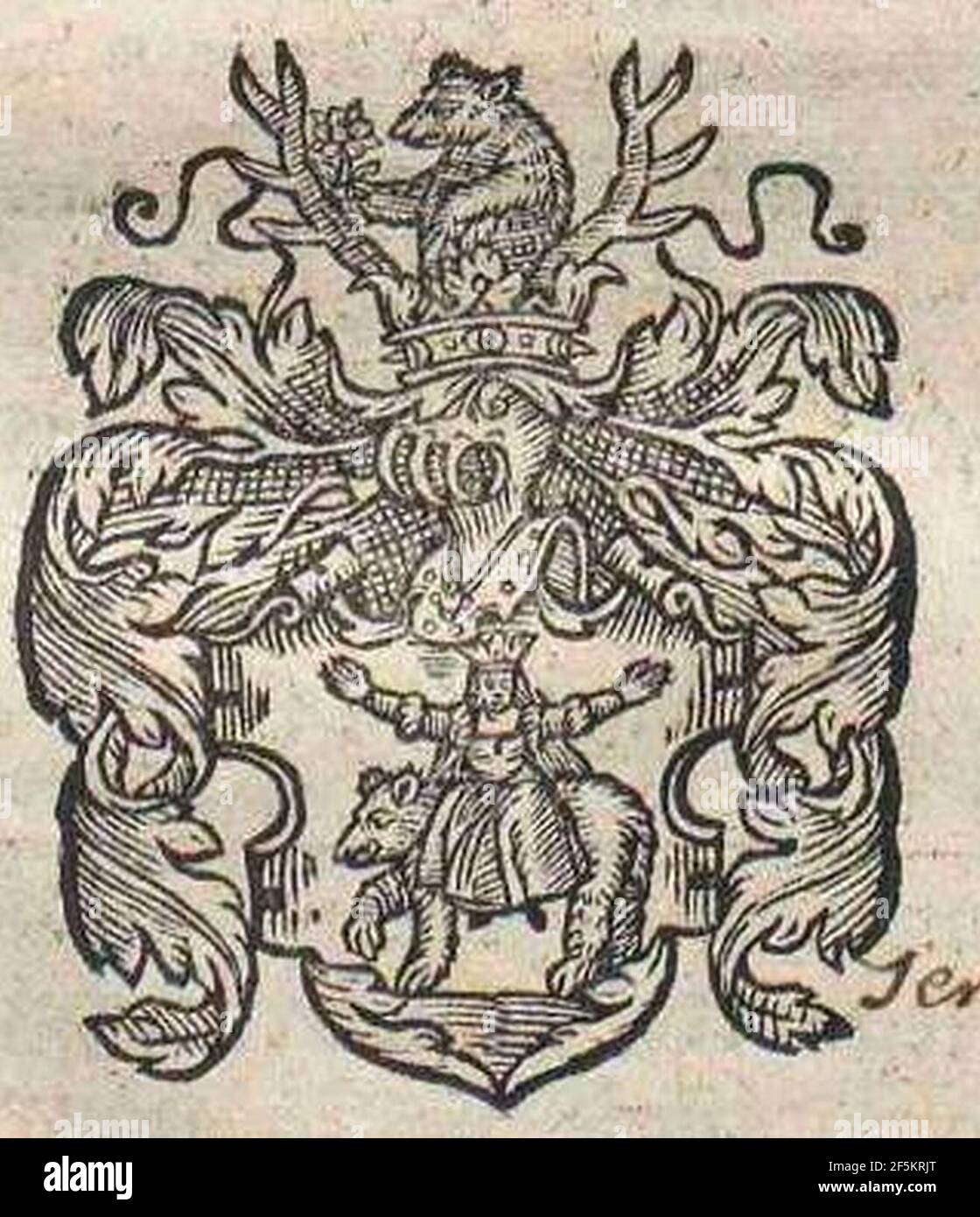 Paprocki hi-res stock photography and images - Alamy