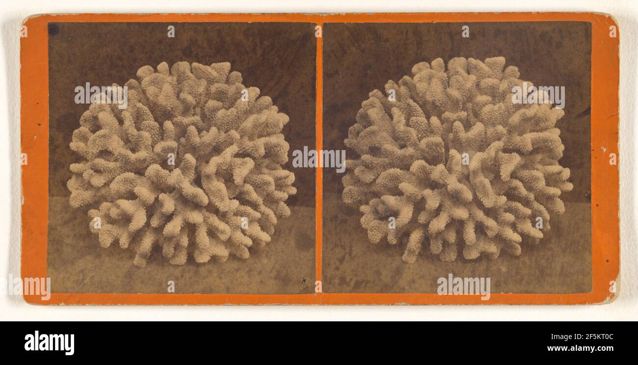 1824 1914 hi-res stock photography and images - Alamy