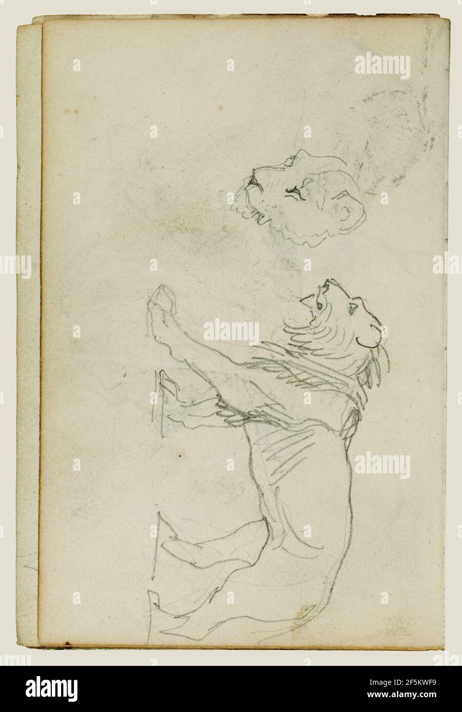 Lion walking, head of a lioness. Théodore Géricault (French, 1791 ...