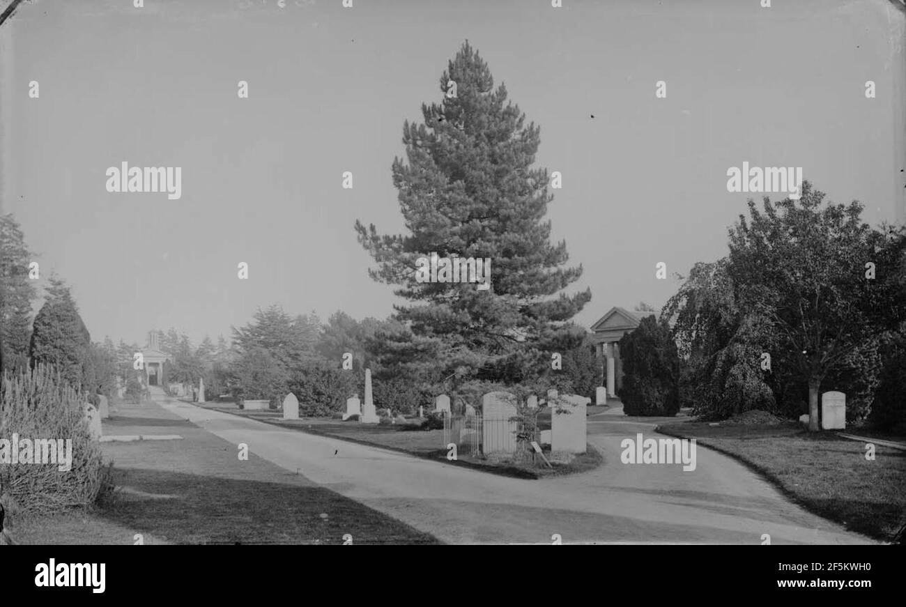 Reading Cemetery, c. 1875 Stock Photo - Alamy
