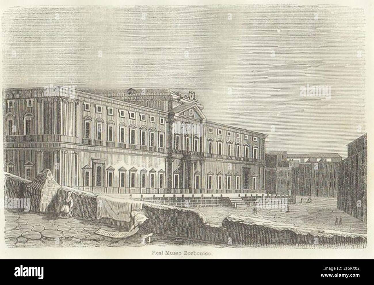 Real museo borbonico hi-res stock photography and images - Alamy