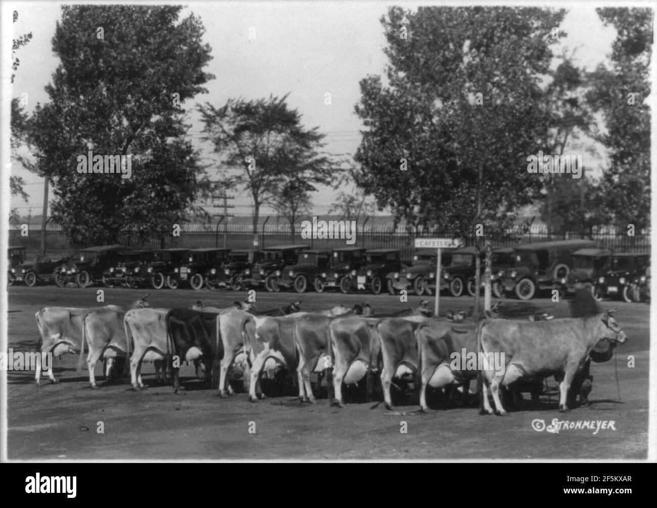 Verso view Black and White Stock Photos & Images - Alamy