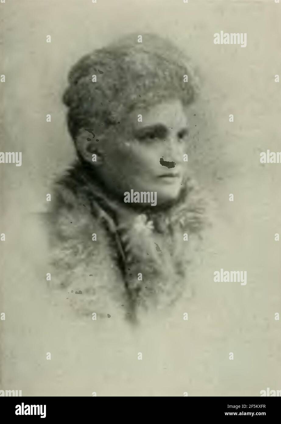 REBECCA RUTER SPRINGER A woman of the century (page 685 crop Stock ...