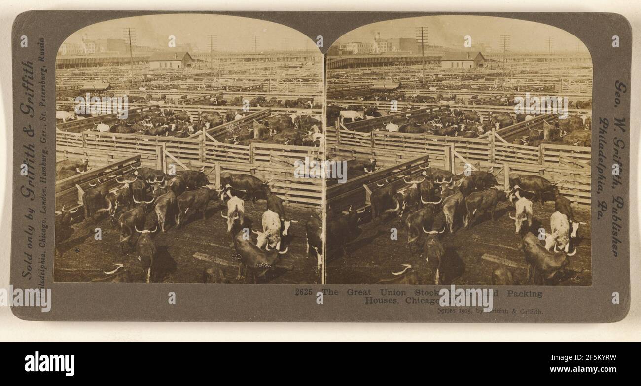 The Great Union Stock Yards and Packing Houses, Chicago, Ill.. George W ...