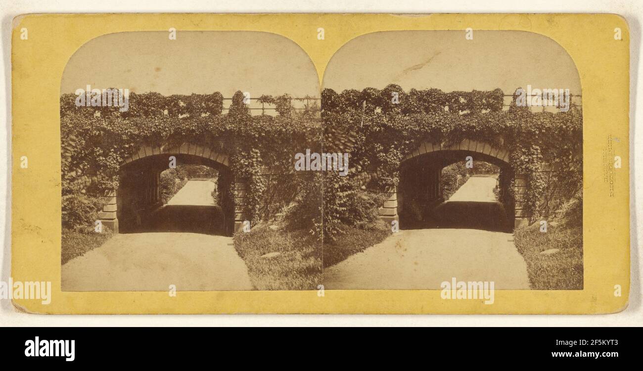 Arch No. 3, Central Park, New York City. Deloss Barnum (American, 1825 ...