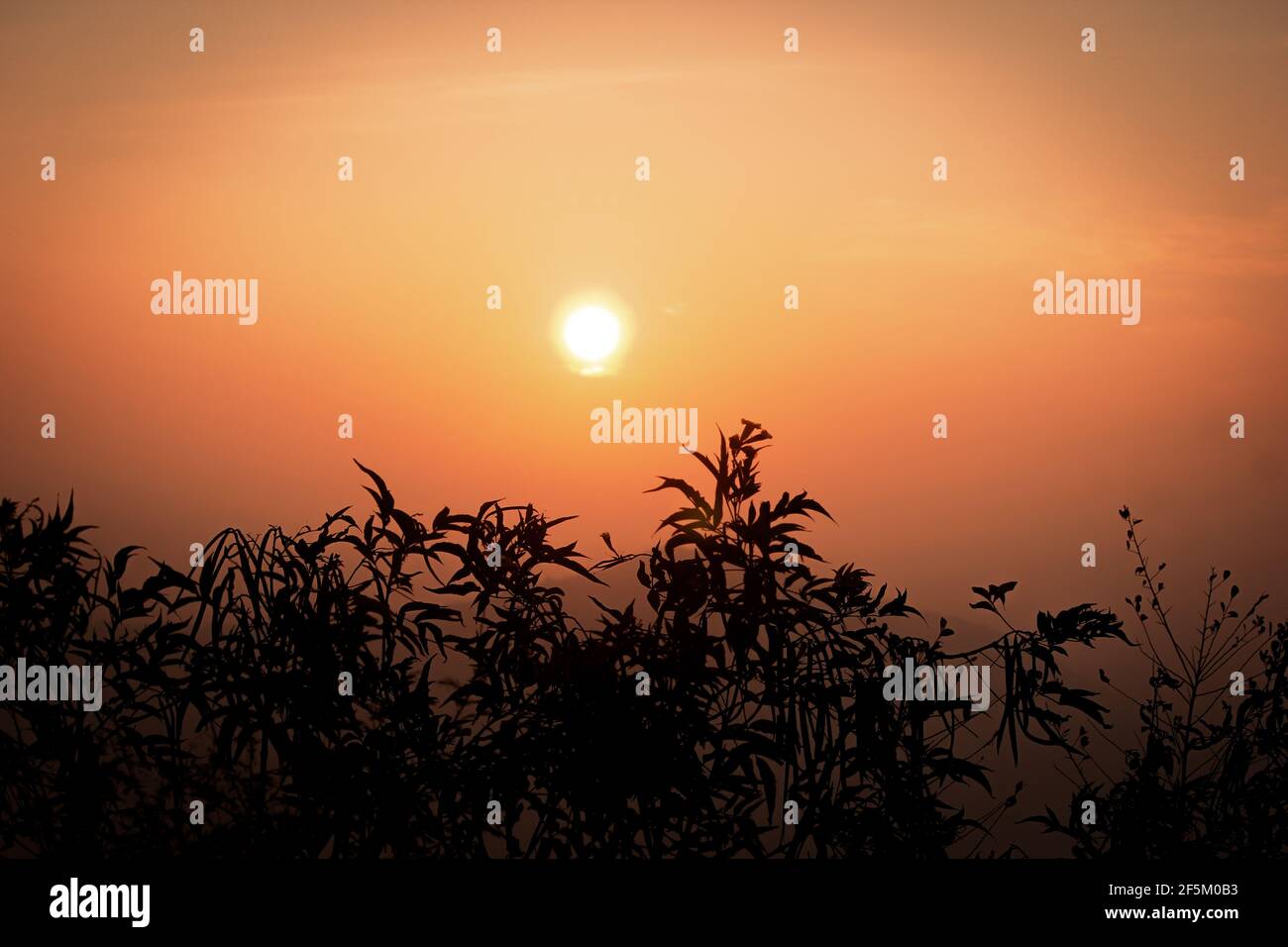 "Embrace the beauty of a new beginning with this stunning sunrise ...