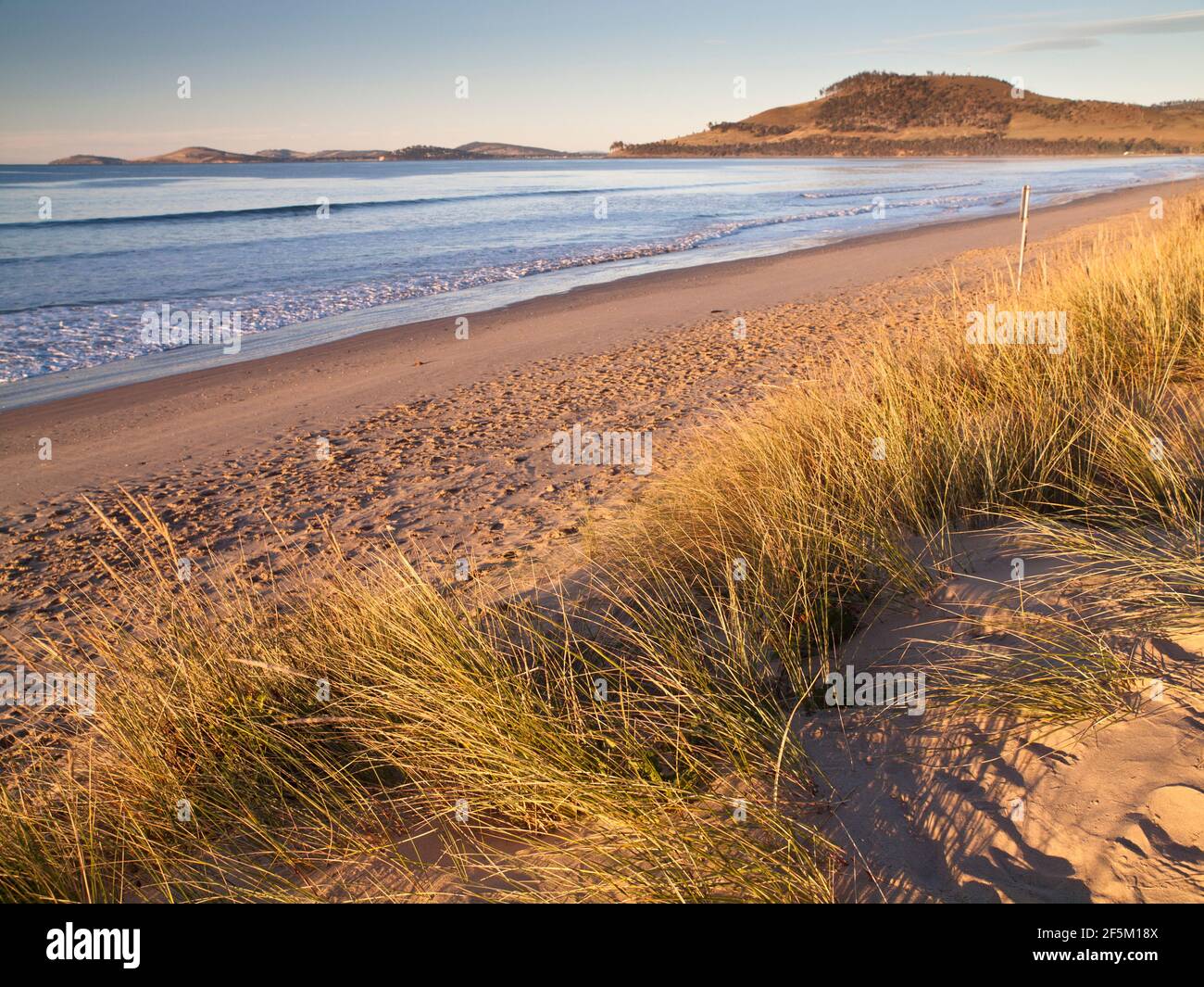 Sand dune revegetation hi-res stock photography and images - Alamy