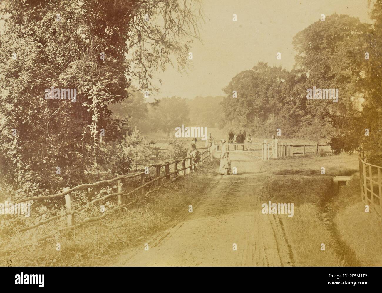 Group Portrait at a Gate. Willoughby Wallace Hooper (English, 1837 ...