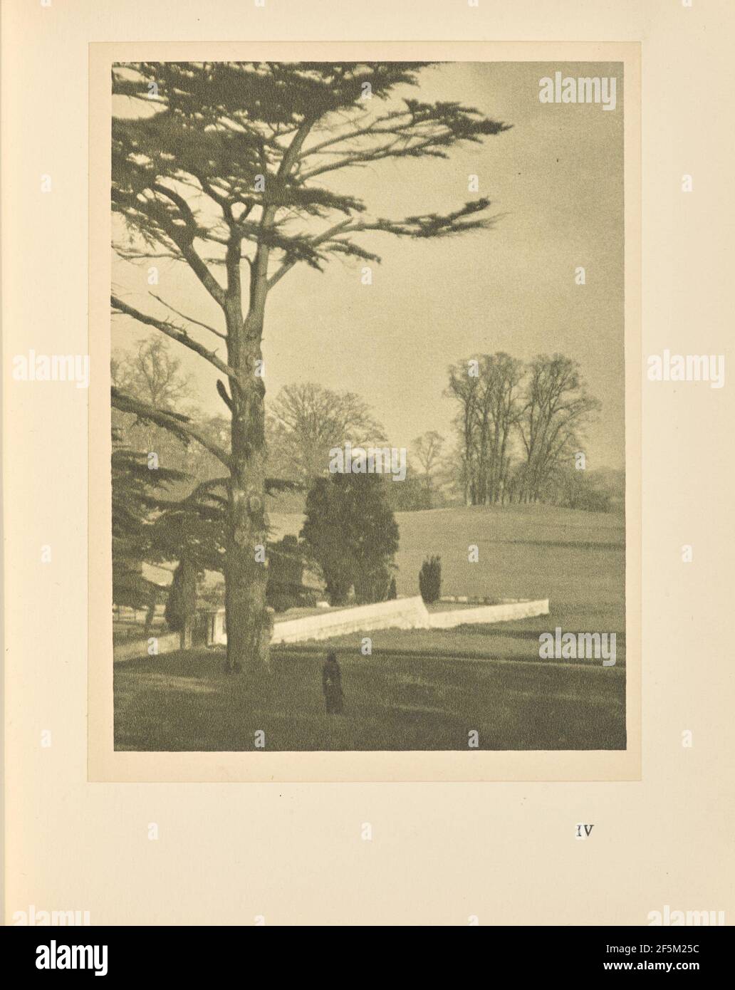 The Edge of the Garden. Alvin Langdon Coburn (British, born United ...