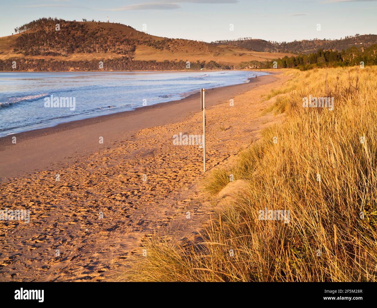 Coastal revegetation hi-res stock photography and images - Alamy