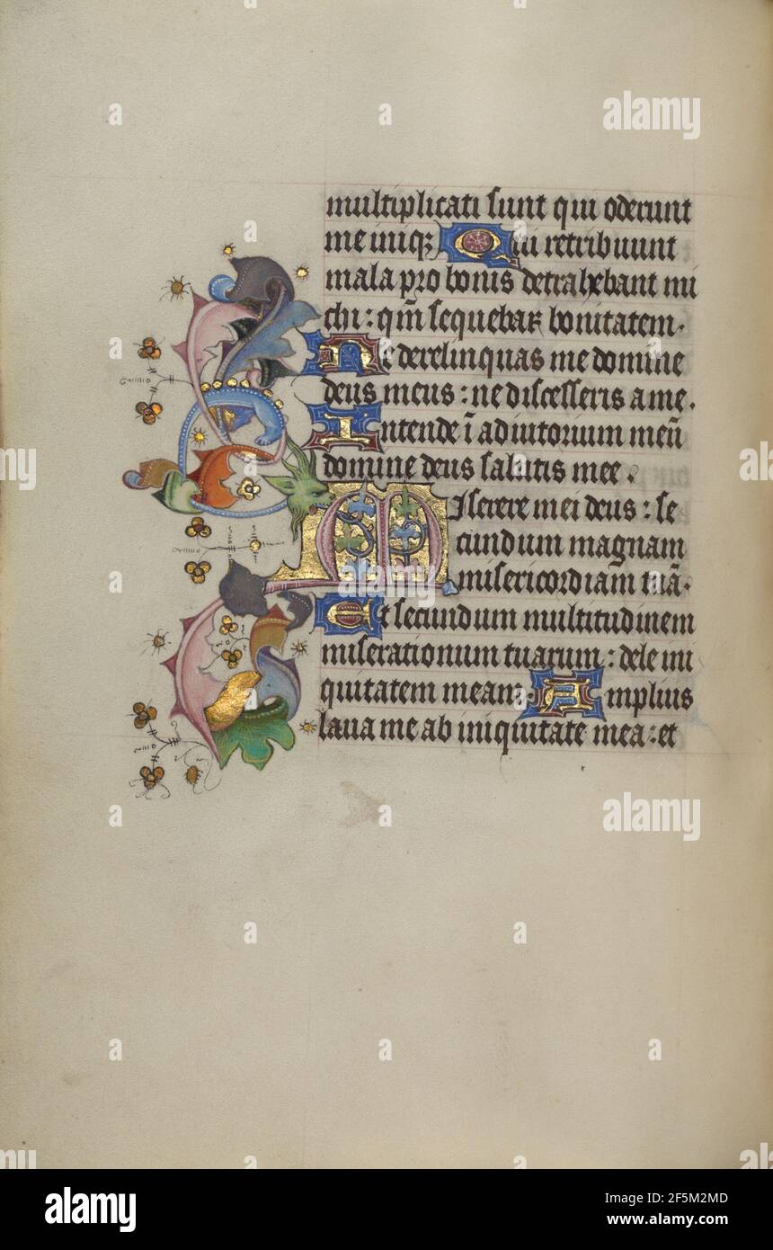 Decorated initial m hi-res stock photography and images - Alamy