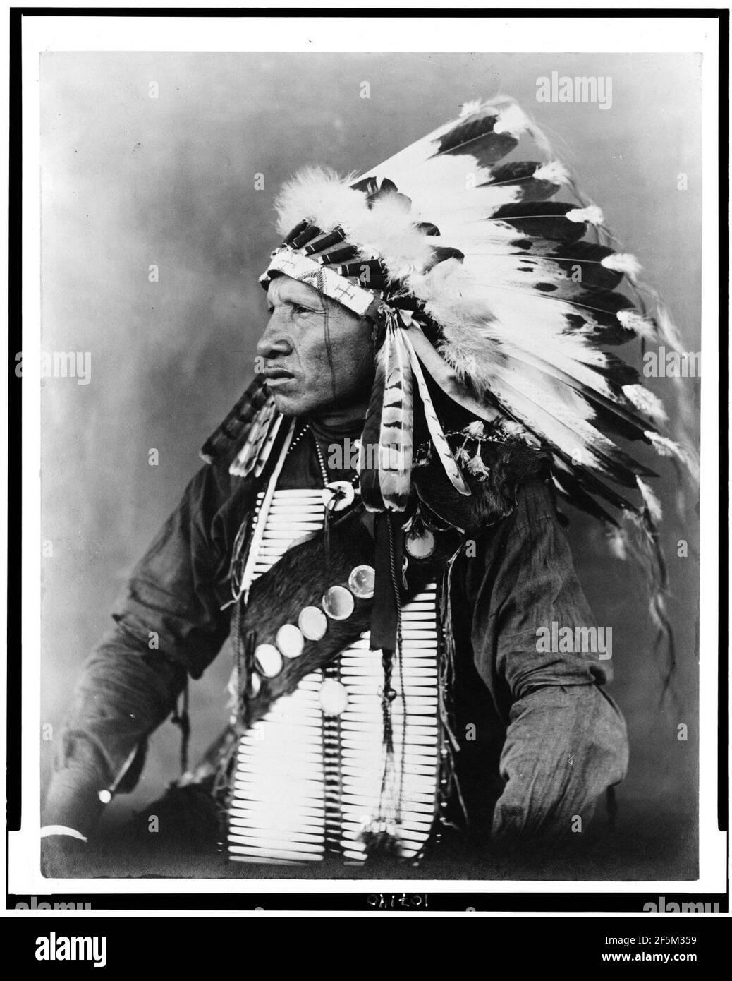 Red Bird, Sioux Indian, half-length portrait, seated, facing left ...