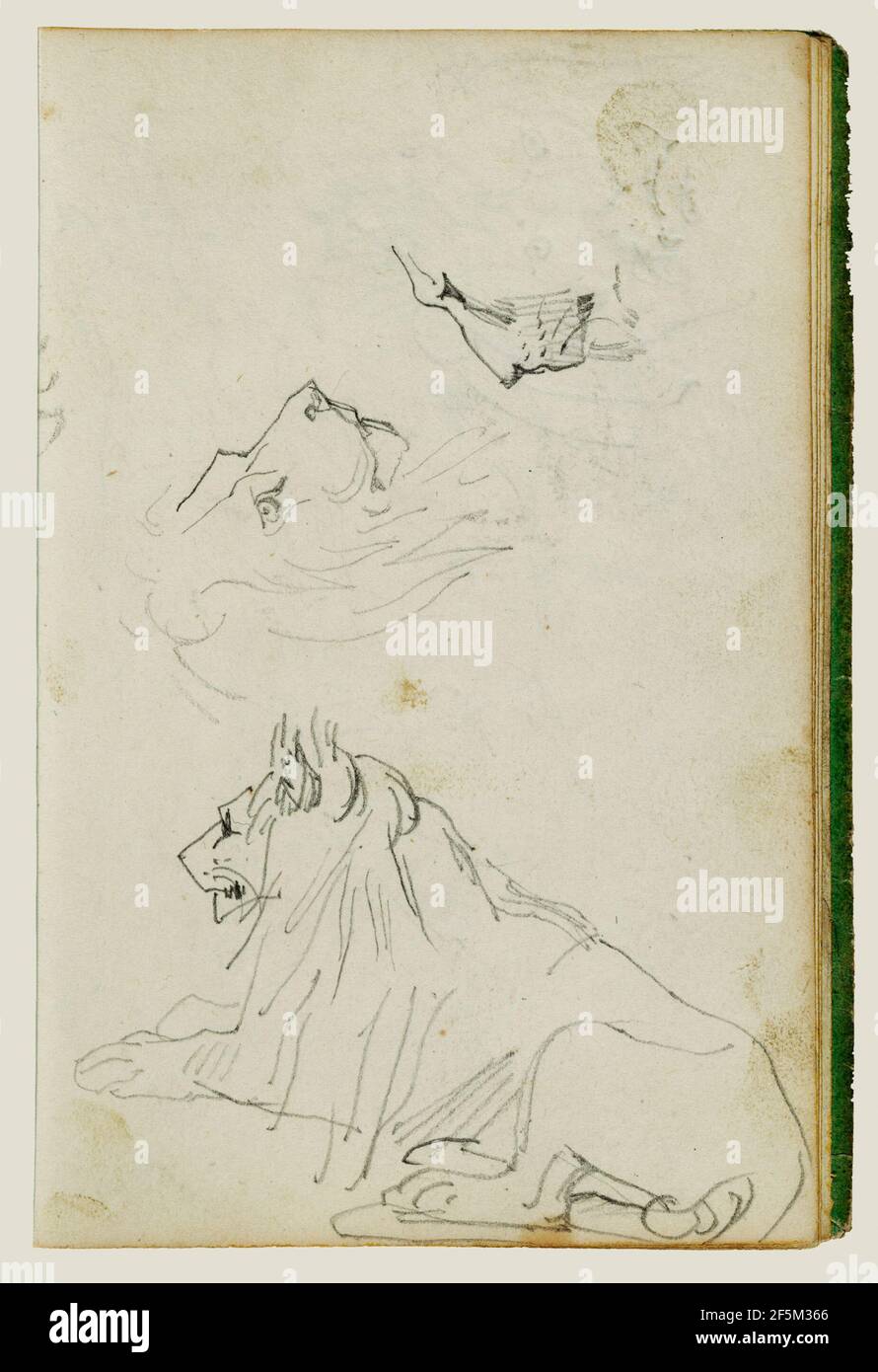 Gericault lion hi-res stock photography and images - Alamy