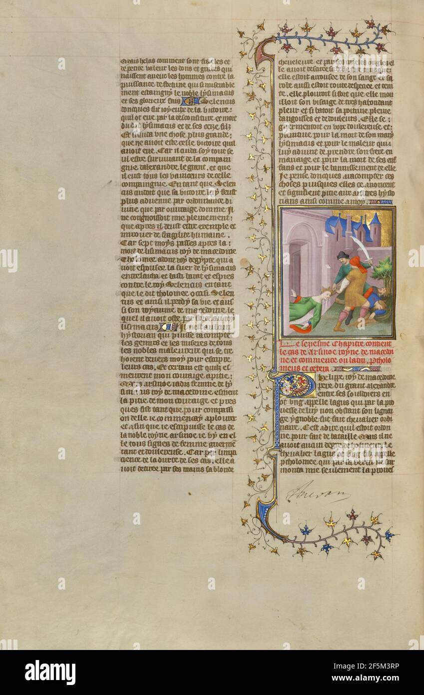 Lysimachus hi-res stock photography and images - Alamy