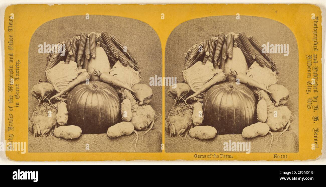 Gems of the Farm.. Henry Hamilton Bennett (American, born Canada, 1843 ...