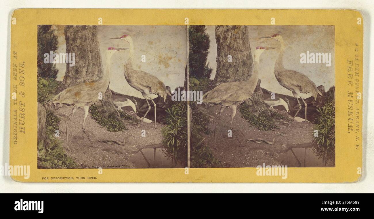 Haines hill hi-res stock photography and images - Alamy