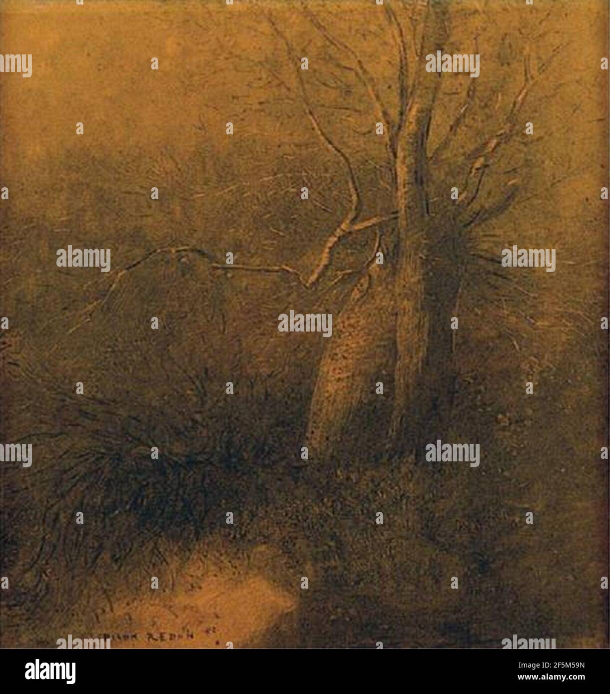 Tordu hi-res stock photography and images - Alamy