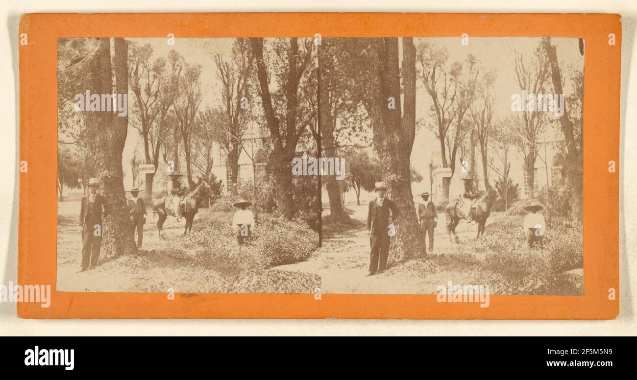 Michaud photographer hi-res stock photography and images - Alamy