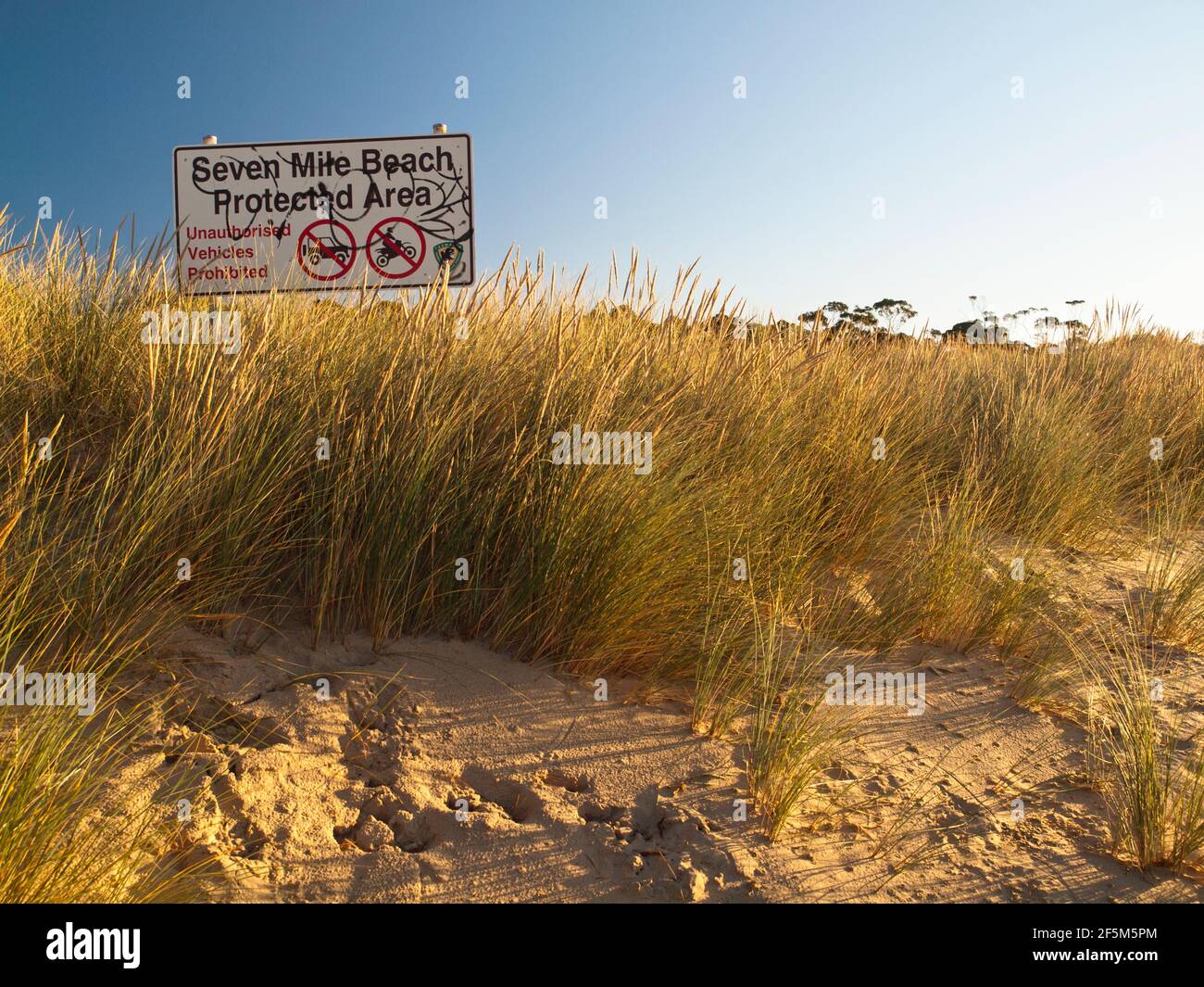 Revegetation area hi-res stock photography and images - Alamy