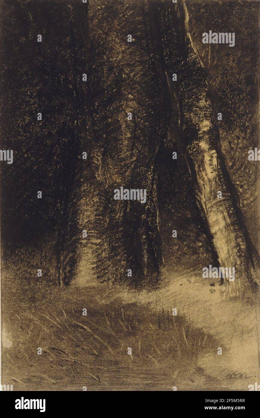 Redon - Sketch of Trees, 1890-99 Stock Photo - Alamy