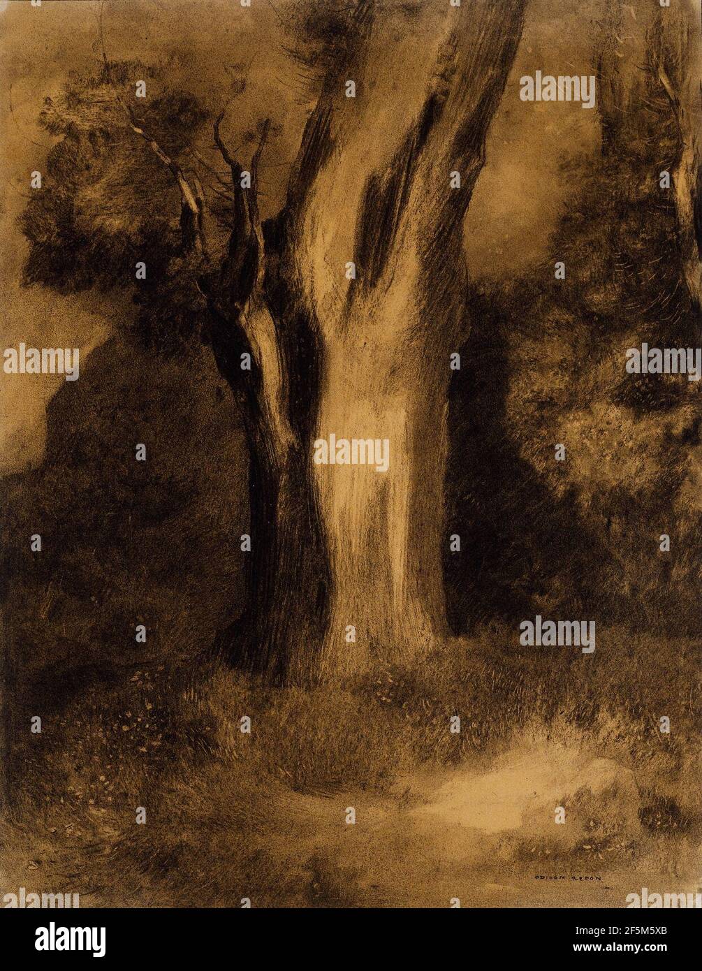 Redon - Tree, c. 1875 Stock Photo - Alamy