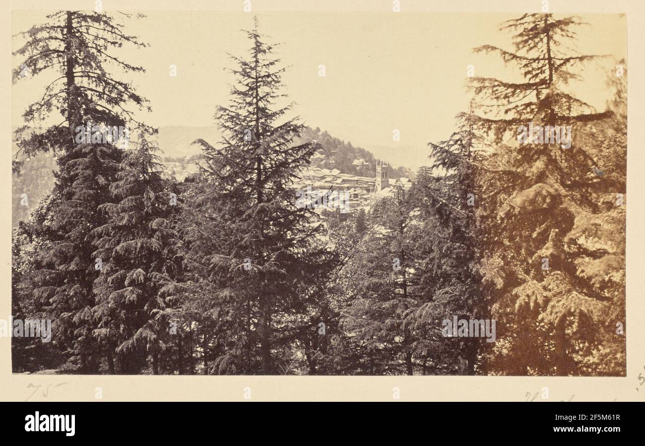 Simla; The Church through the Trees, from Jakko. Samuel Bourne (English ...