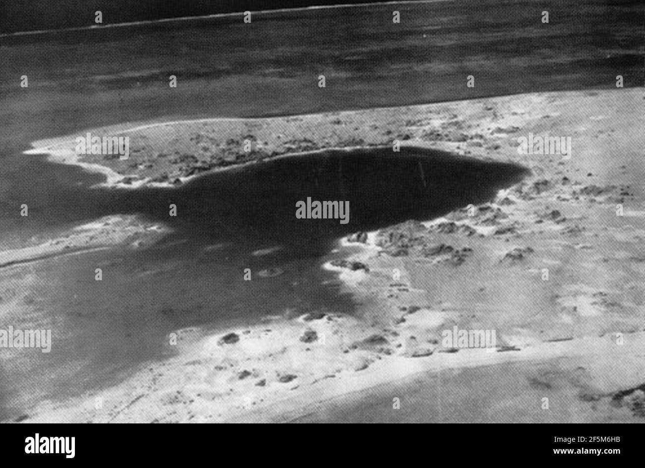 Redwing seminole hi-res stock photography and images - Alamy