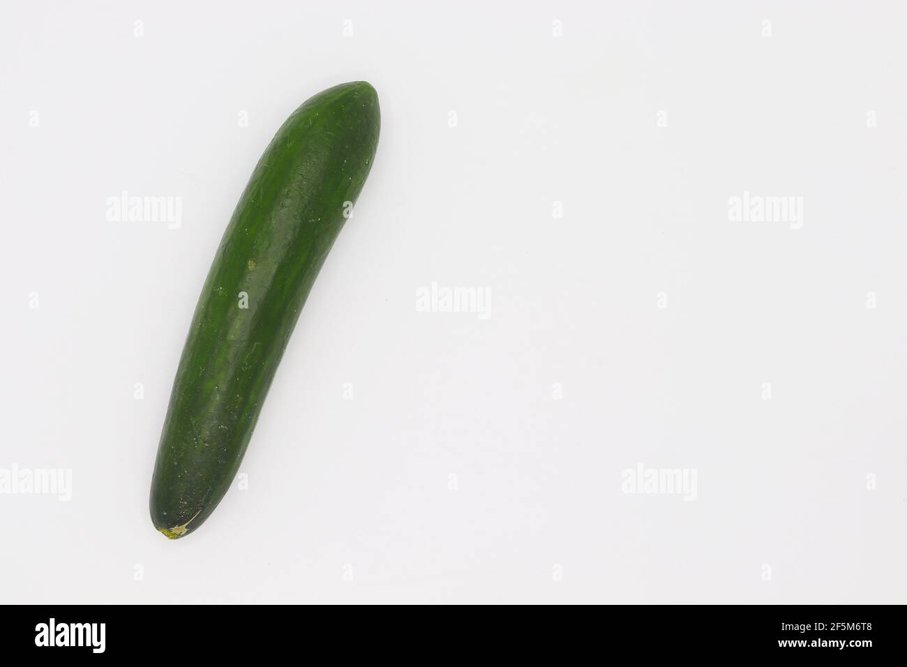 Isolated cucumber. One whole cucumber isolated on white background ...