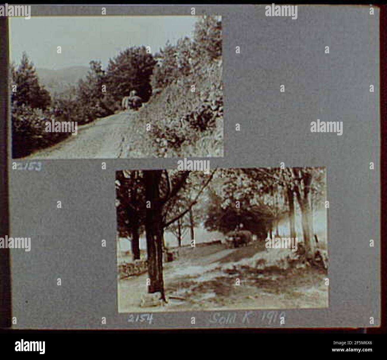 Reference prints, 1919-1920, numbers 2133-2377 Stock Photo - Alamy