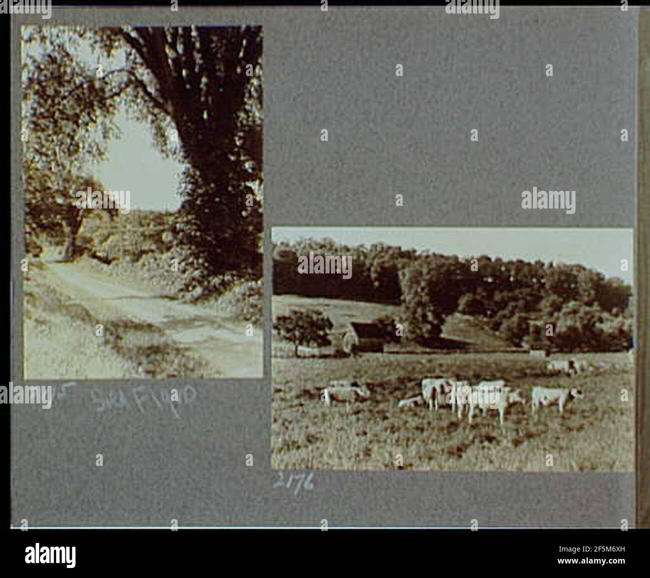 Reference prints, 1919-1920, numbers 2133-2377 Stock Photo - Alamy
