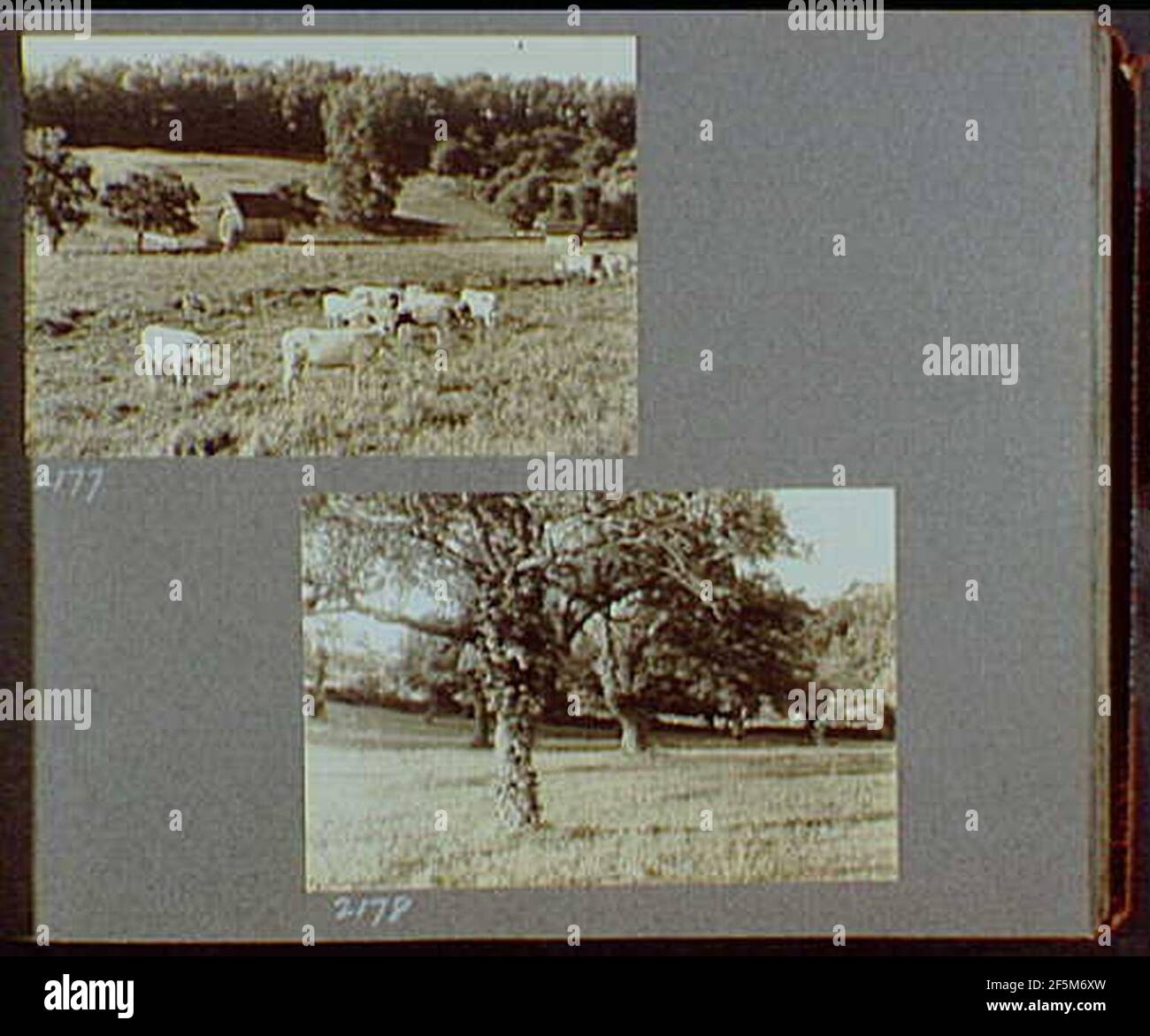 Reference prints, 1919-1920, numbers 2133-2377 Stock Photo - Alamy